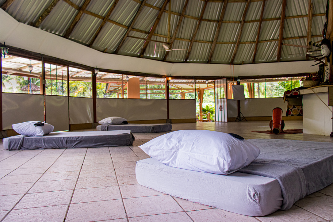 The Iboga Experience | SoulCentro
